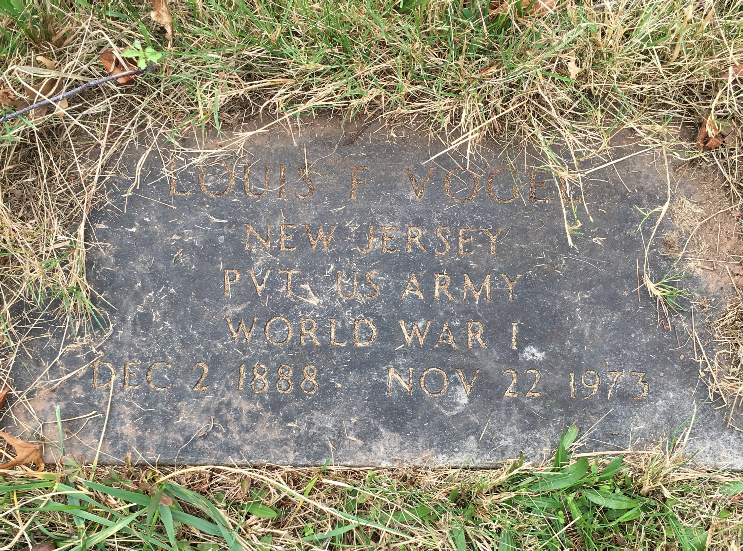 Remembering Vogel from WWI on Armistice Day – Woodland