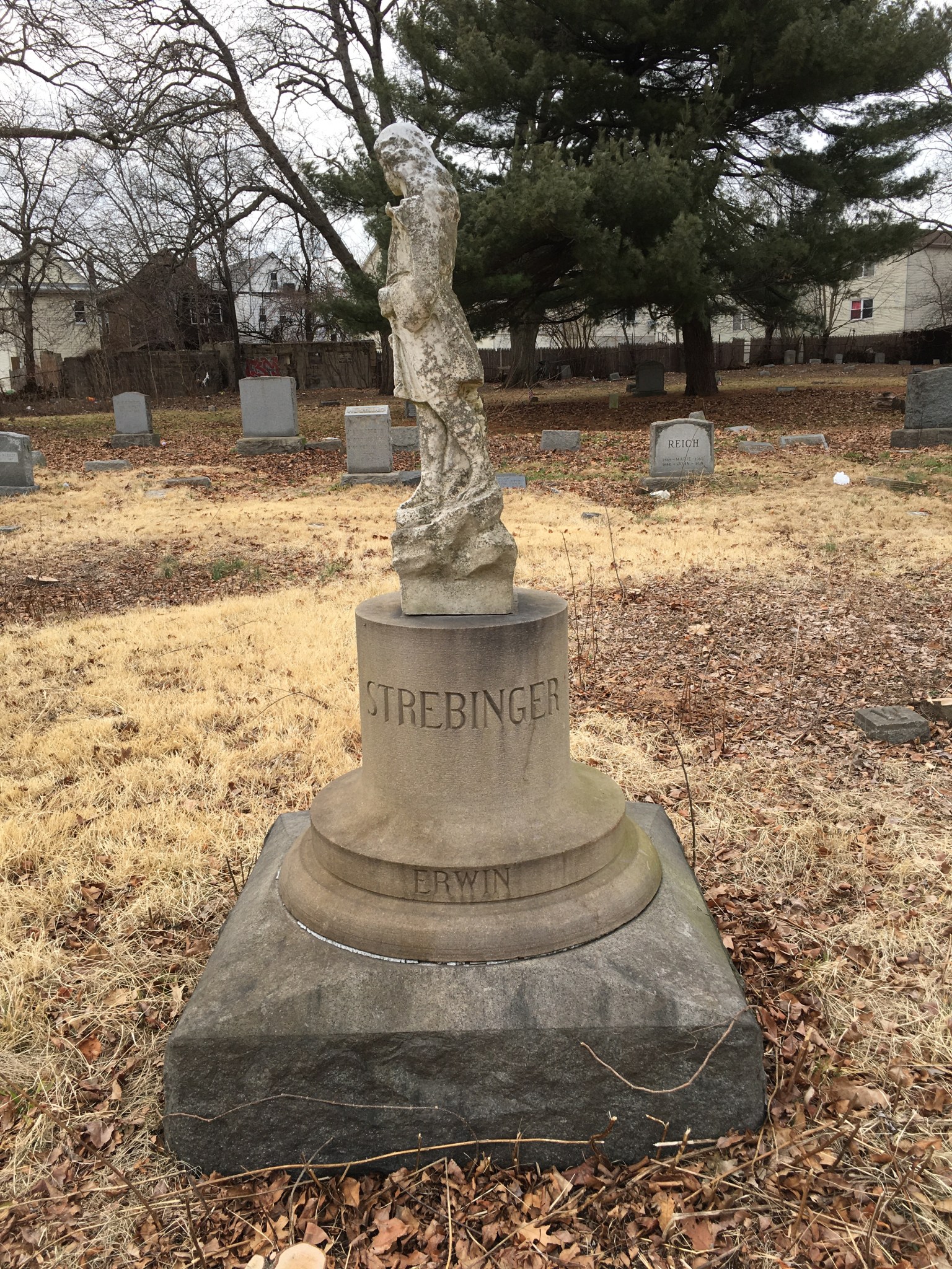 Young Erwin – Woodland