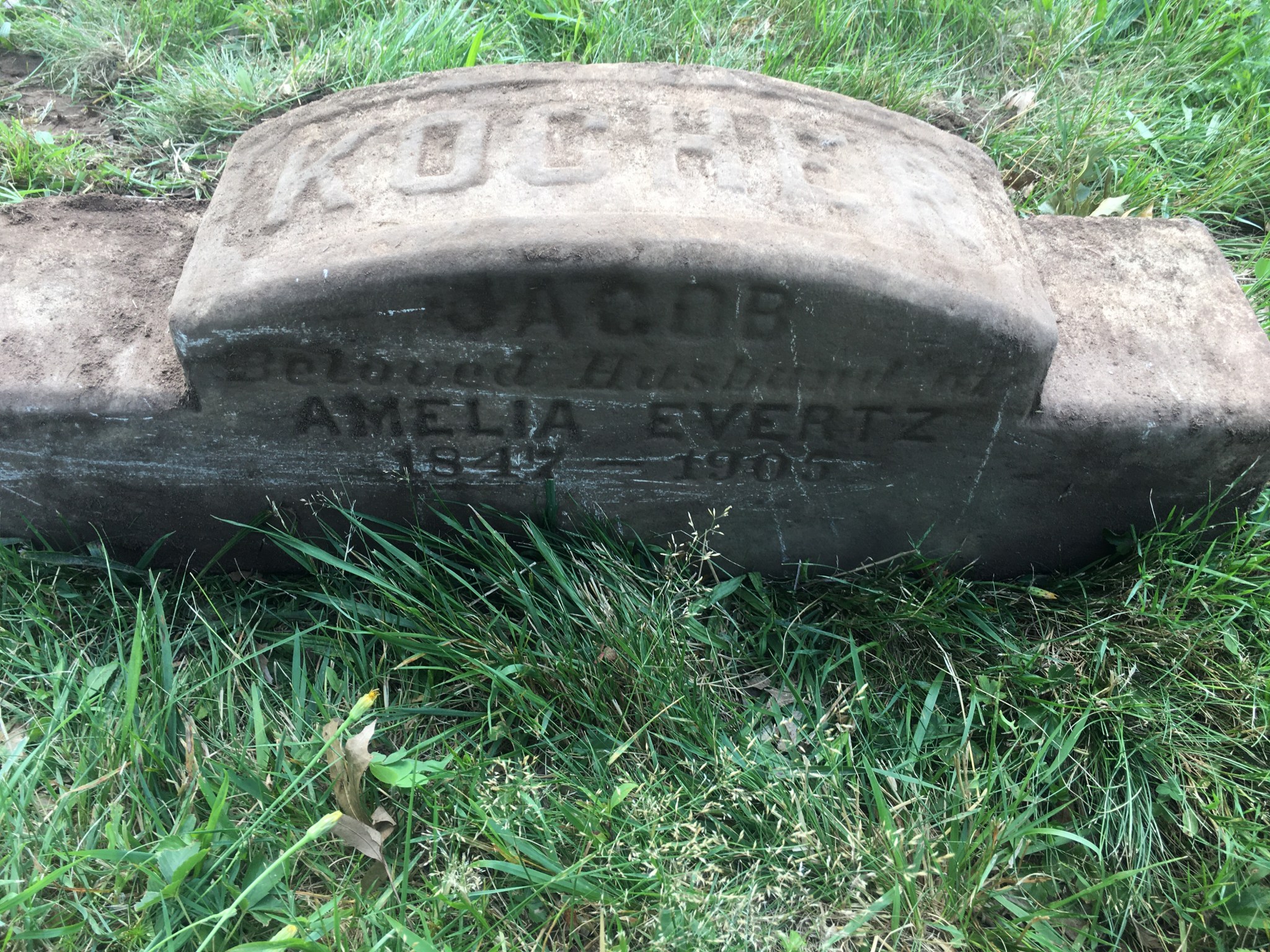 Finding Jacob Kocher – Woodland