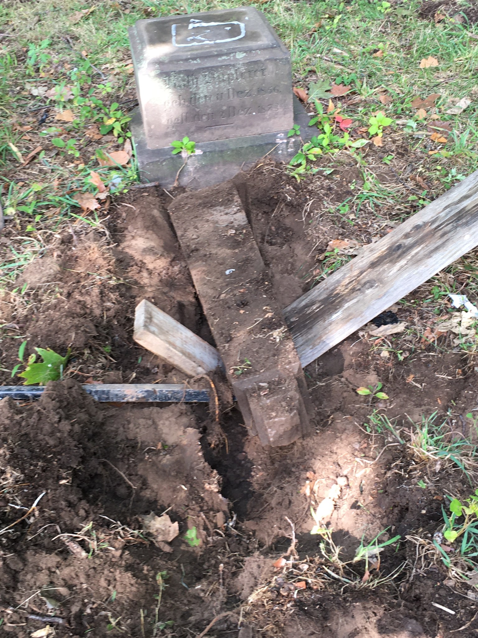 German Translation – Woodland