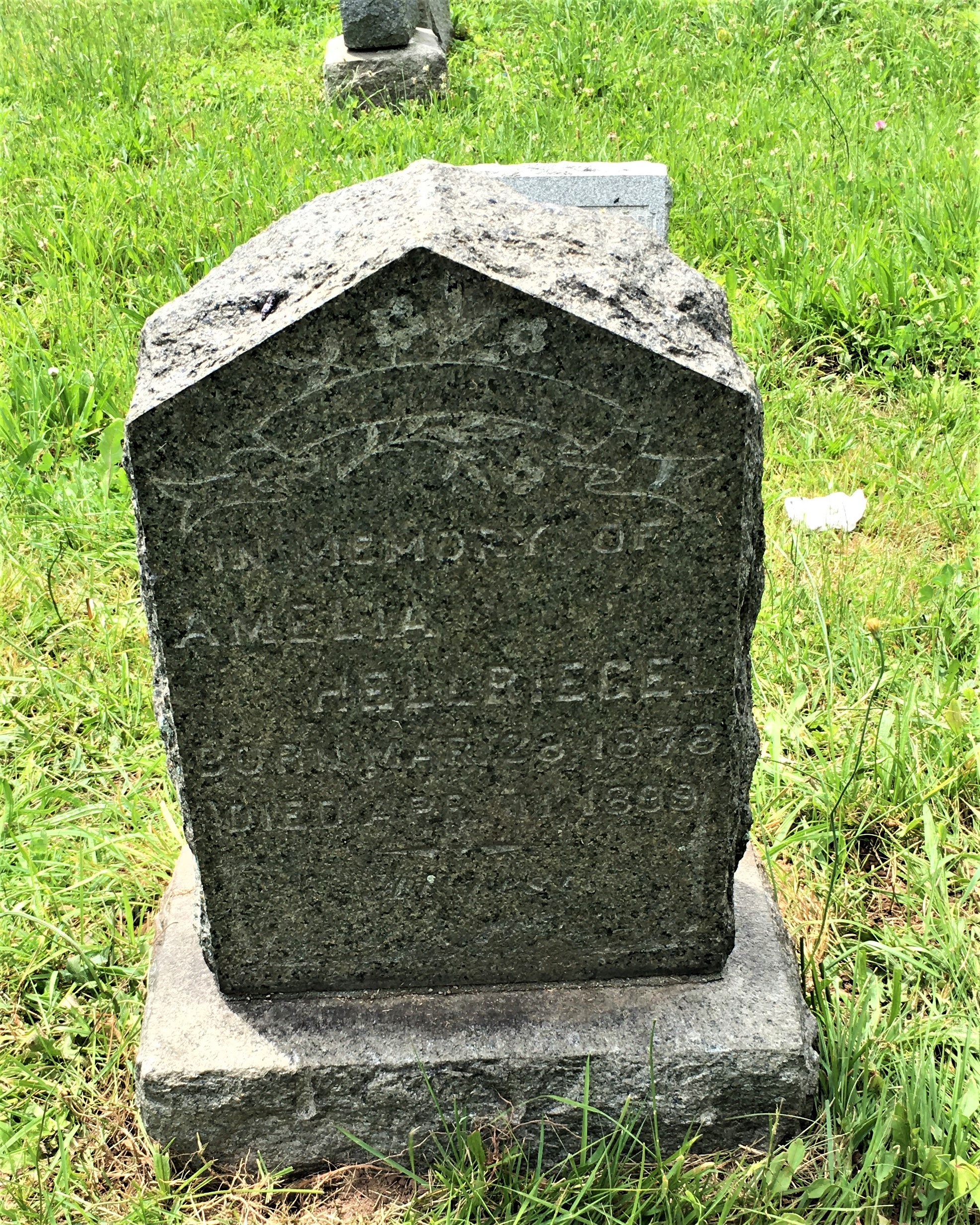 17 Headstones reset – Woodland