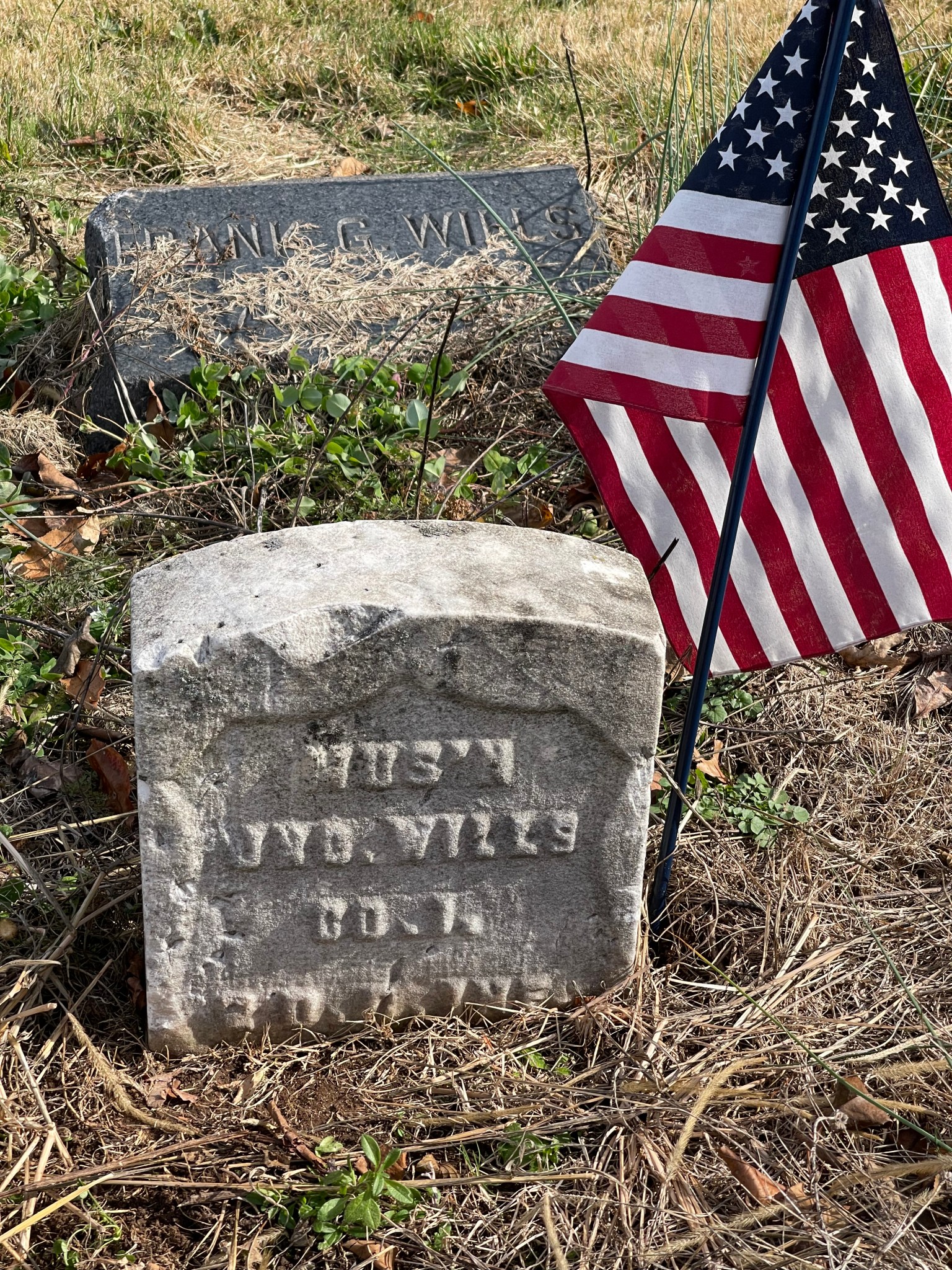 John Wills CW Musician – Woodland