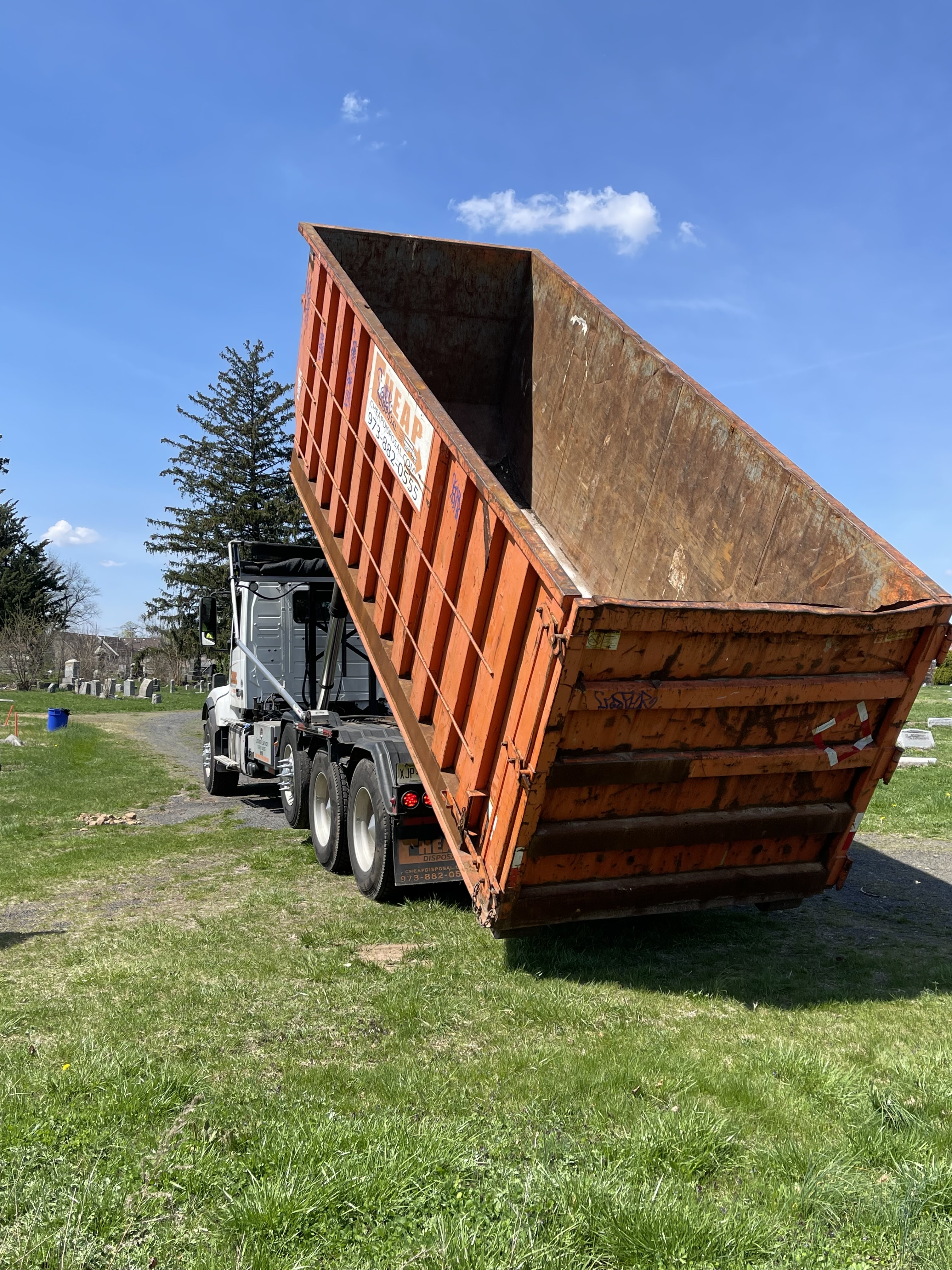 More “Y” Stump Removal – Woodland