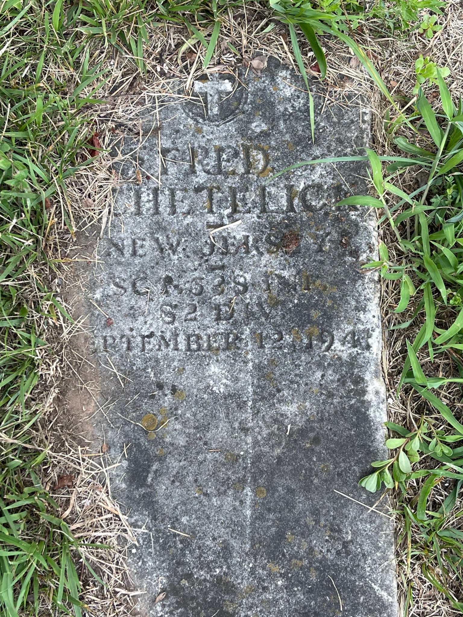 Sgt. Fred F. Schetelich, Babe Ruth & Lou Gehrig – Woodland