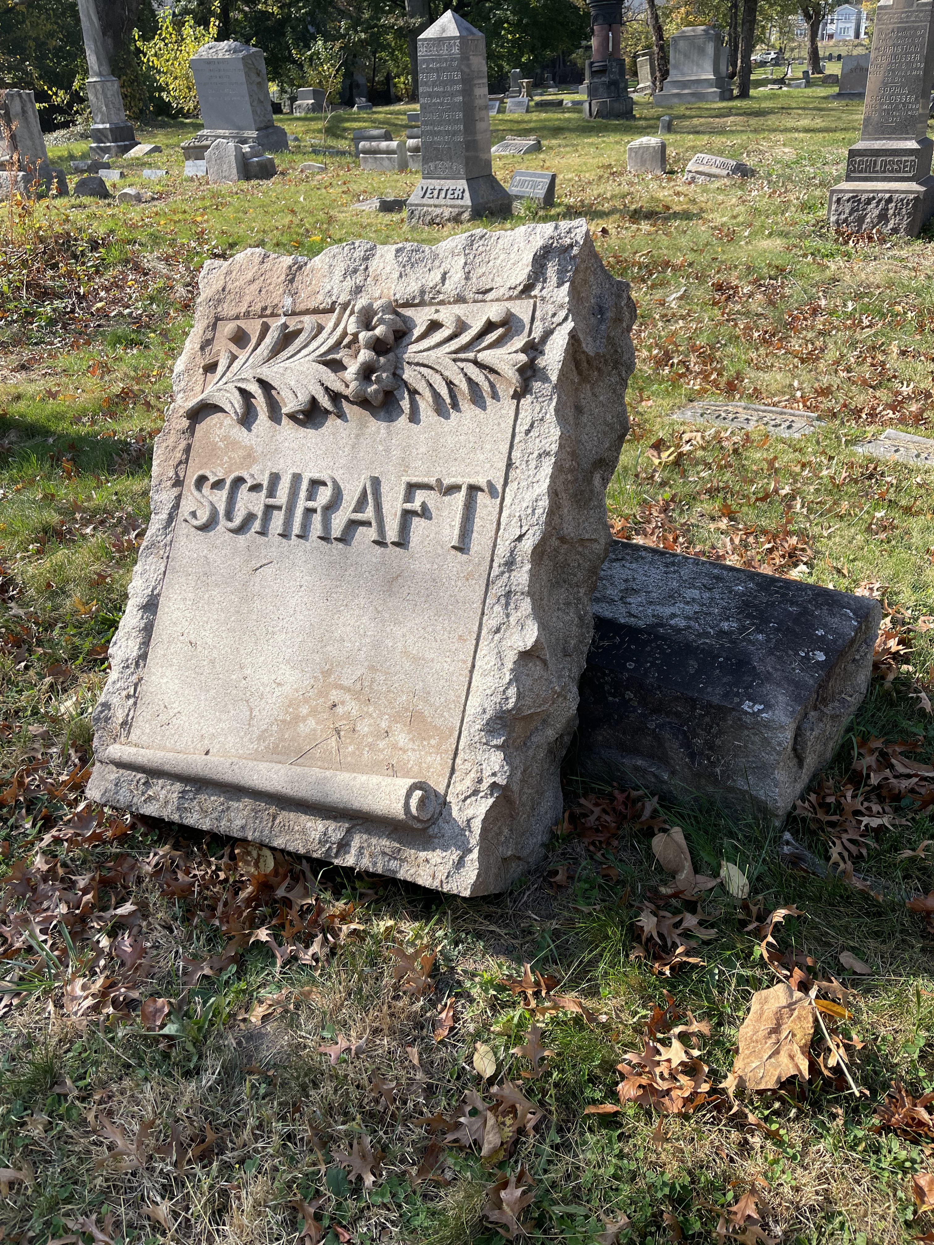 Schraft – Woodland