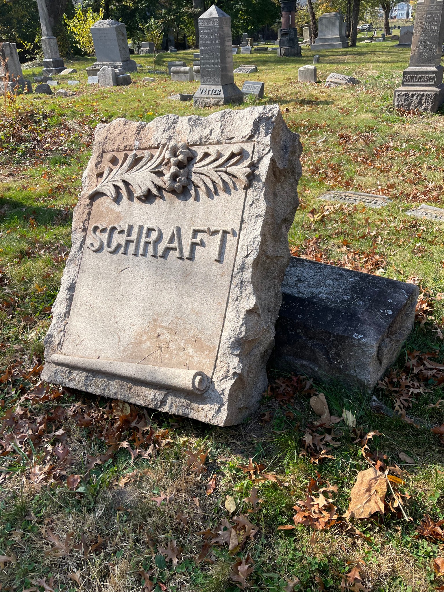 Schraft – Woodland